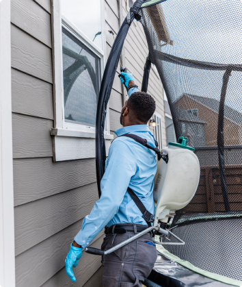 Pest Control Ferndale | Insight Pest Solutions