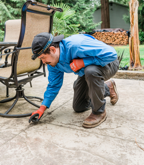 Pest Control West Seattle | Insight Pest Solutions