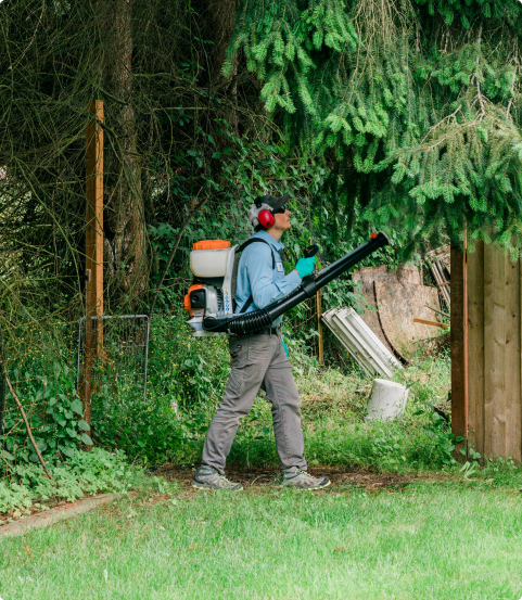 Pest Control Gig Harbor | Insight Pest Solutions