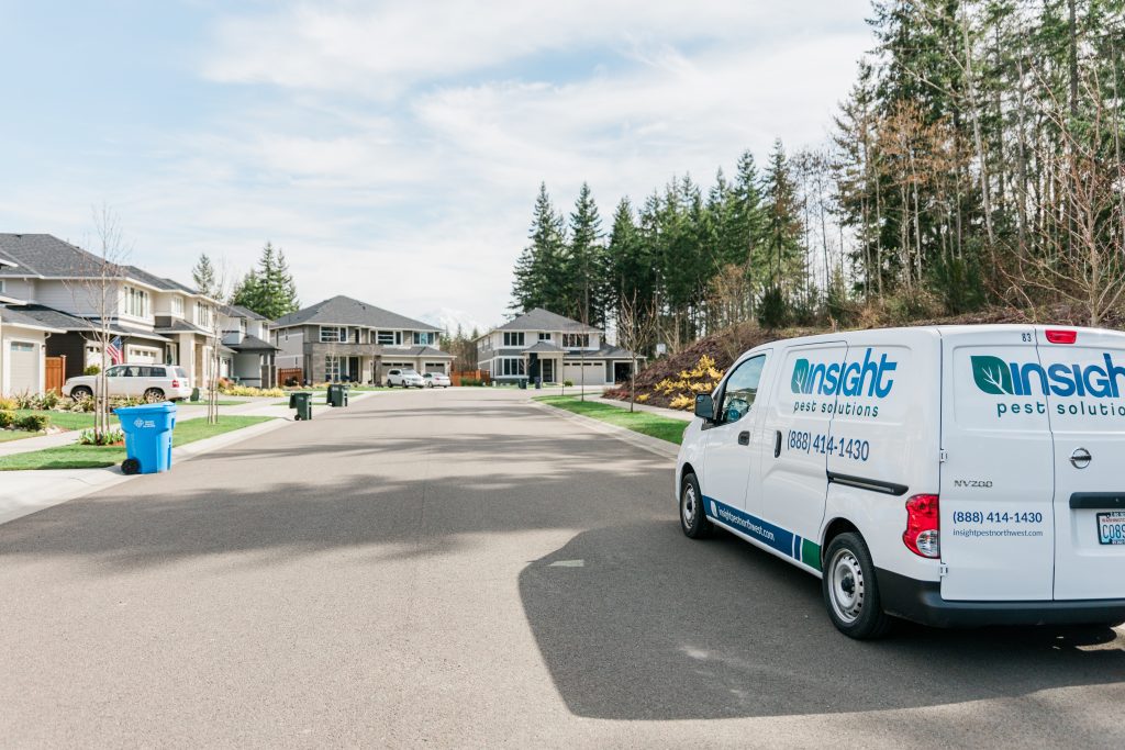 Common Frequently Asked Questions Regarding Pest Control | Insight Pest ...