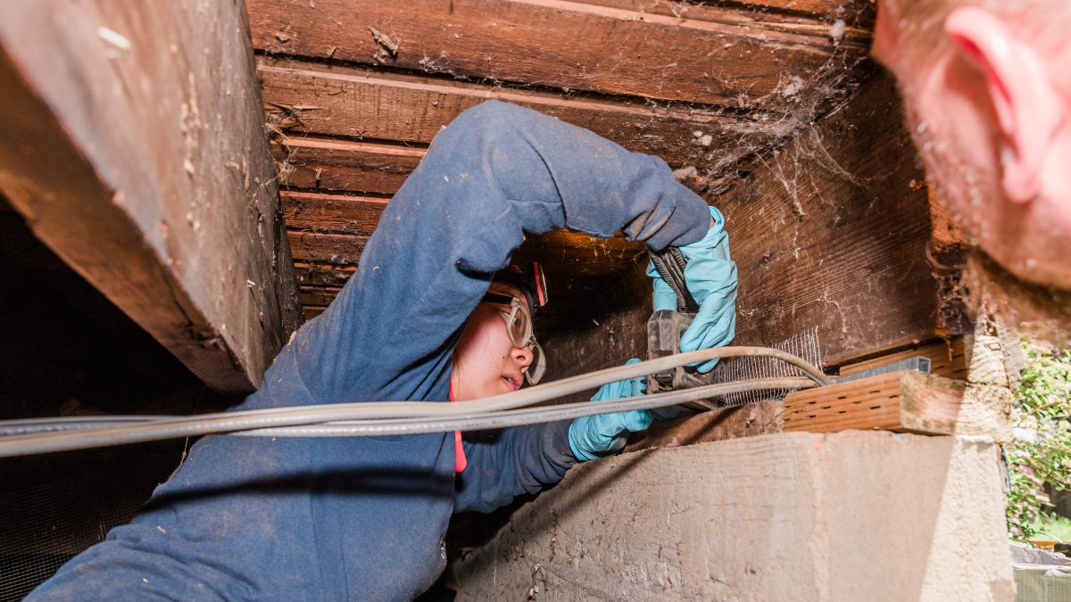 6 Common Entry Points for Pests | Insight Pest Solutions