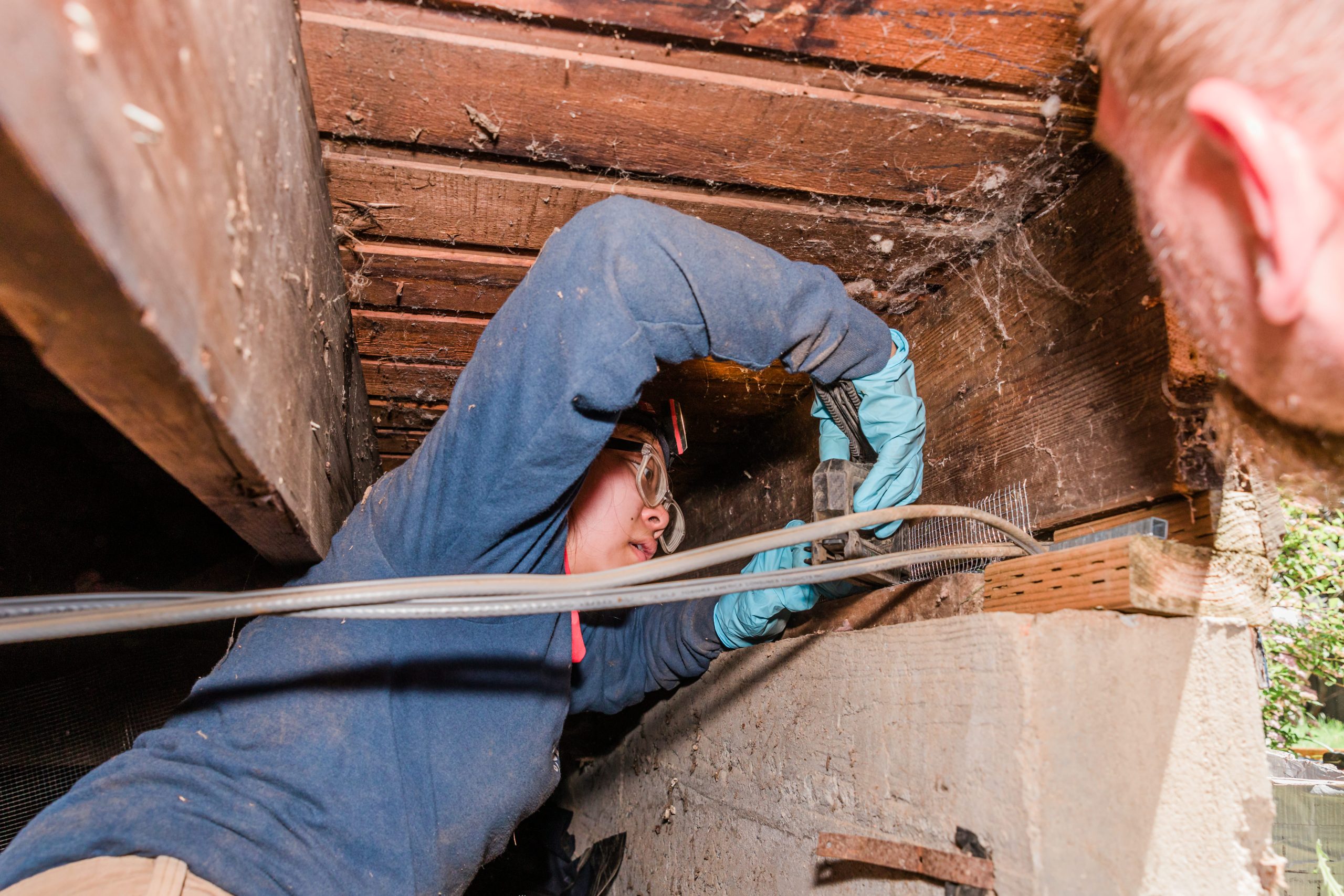6 Common Entry Points for Pests | Insight Pest Solutions