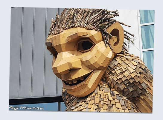 Pacific Northwest Giant Trolls by Thomas Dambo | Insight Pest Solutions