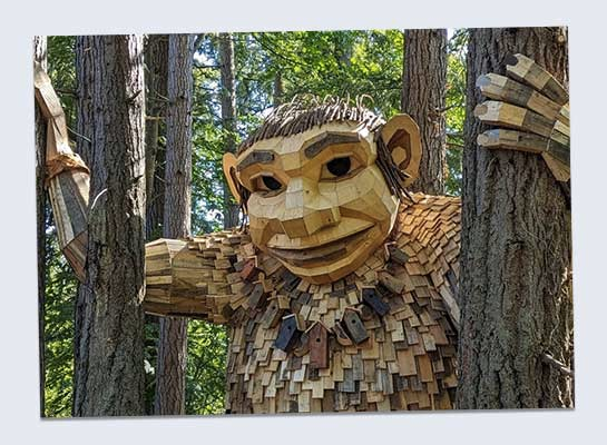 Pacific Northwest Giant Trolls by Thomas Dambo | Insight Pest Solutions