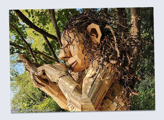 Pacific Northwest Giant Trolls by Thomas Dambo | Insight Pest Solutions