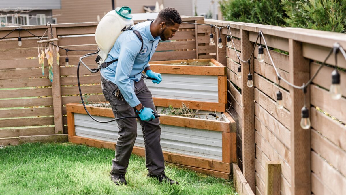 Exploring The Evolution Of Pest Control | Insight Pest Solutions
