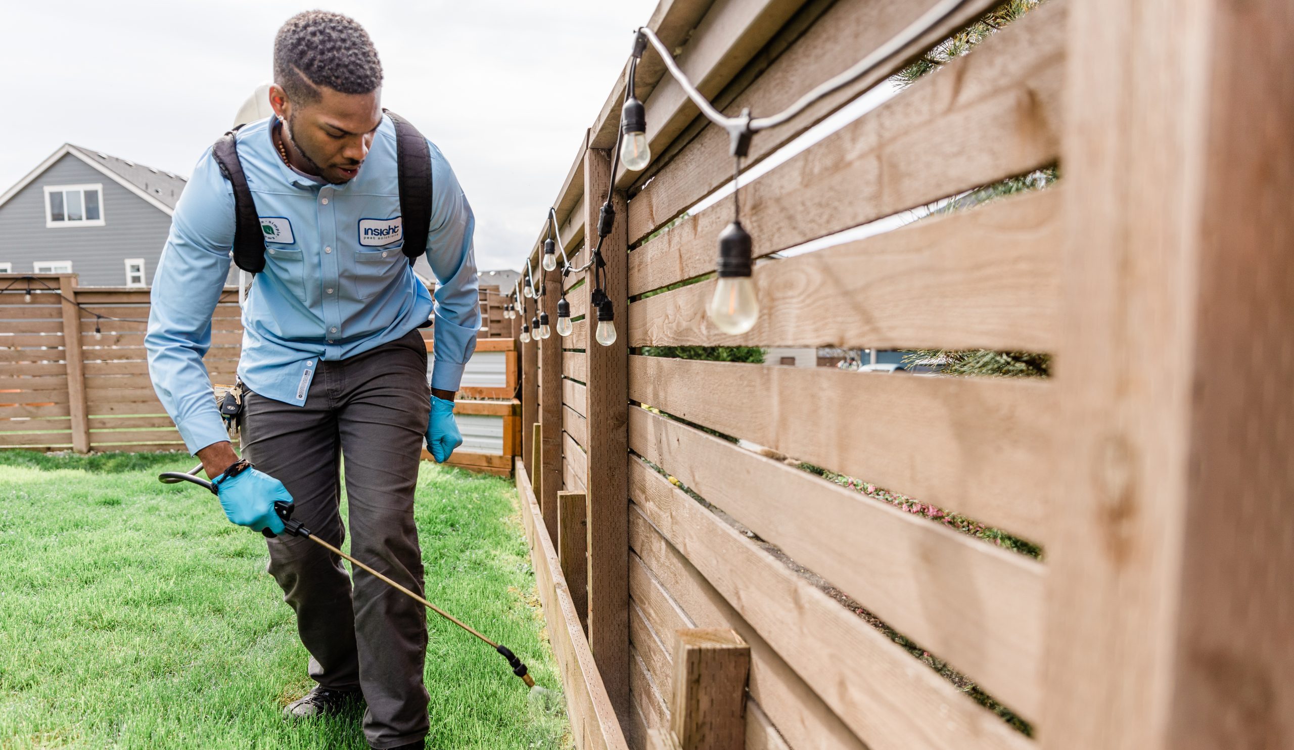 5 Places Pests Love To Hide + How To Prevent Them | Insight Pest Solutions